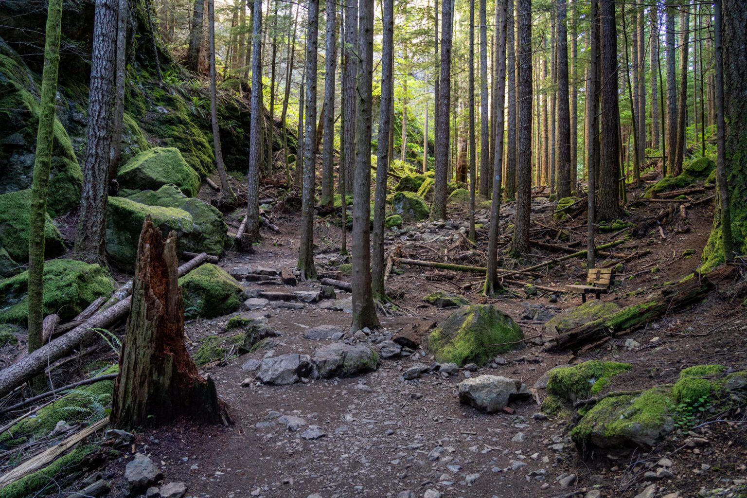 Hiking The Little Si Trail: A Complete Trail Guide