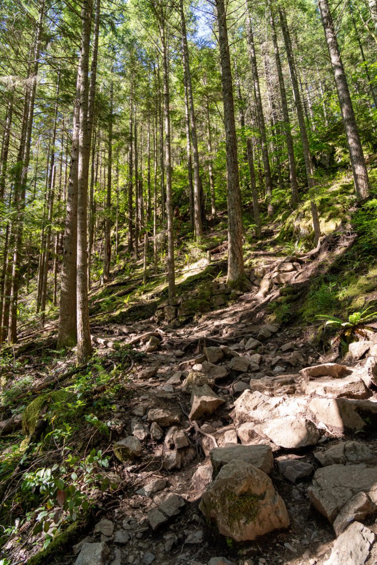 Hiking The Little Si Trail: A Complete Trail Guide