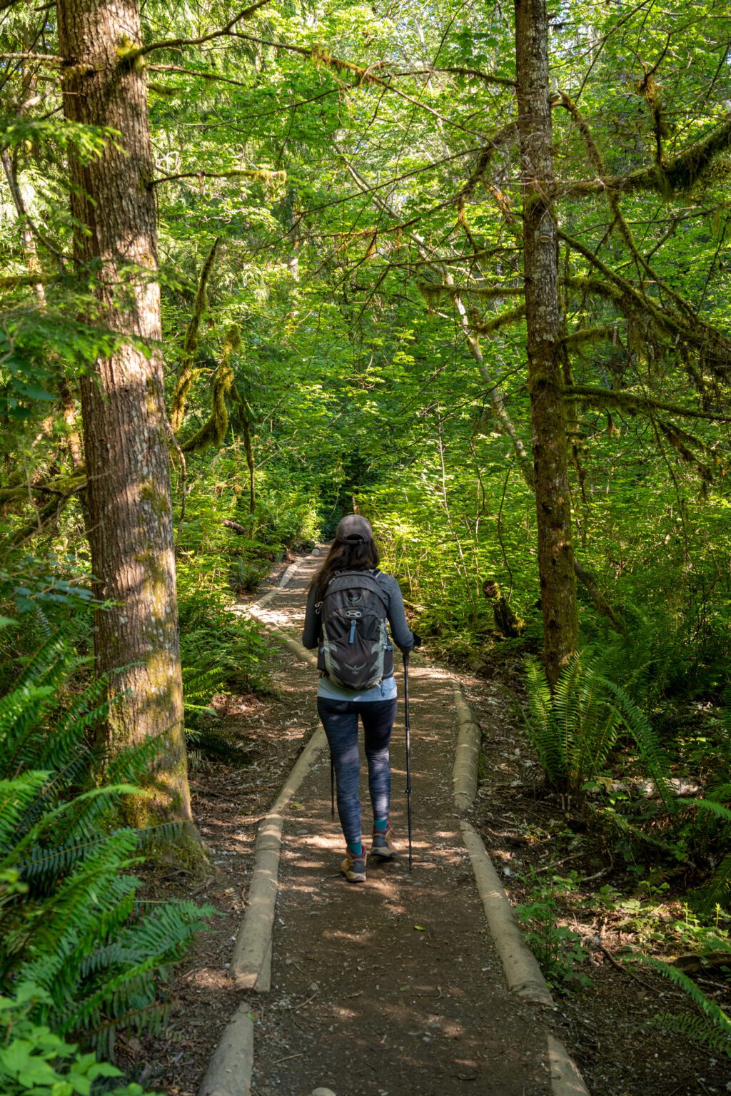 Hiking The Little Si Trail: A Complete Trail Guide