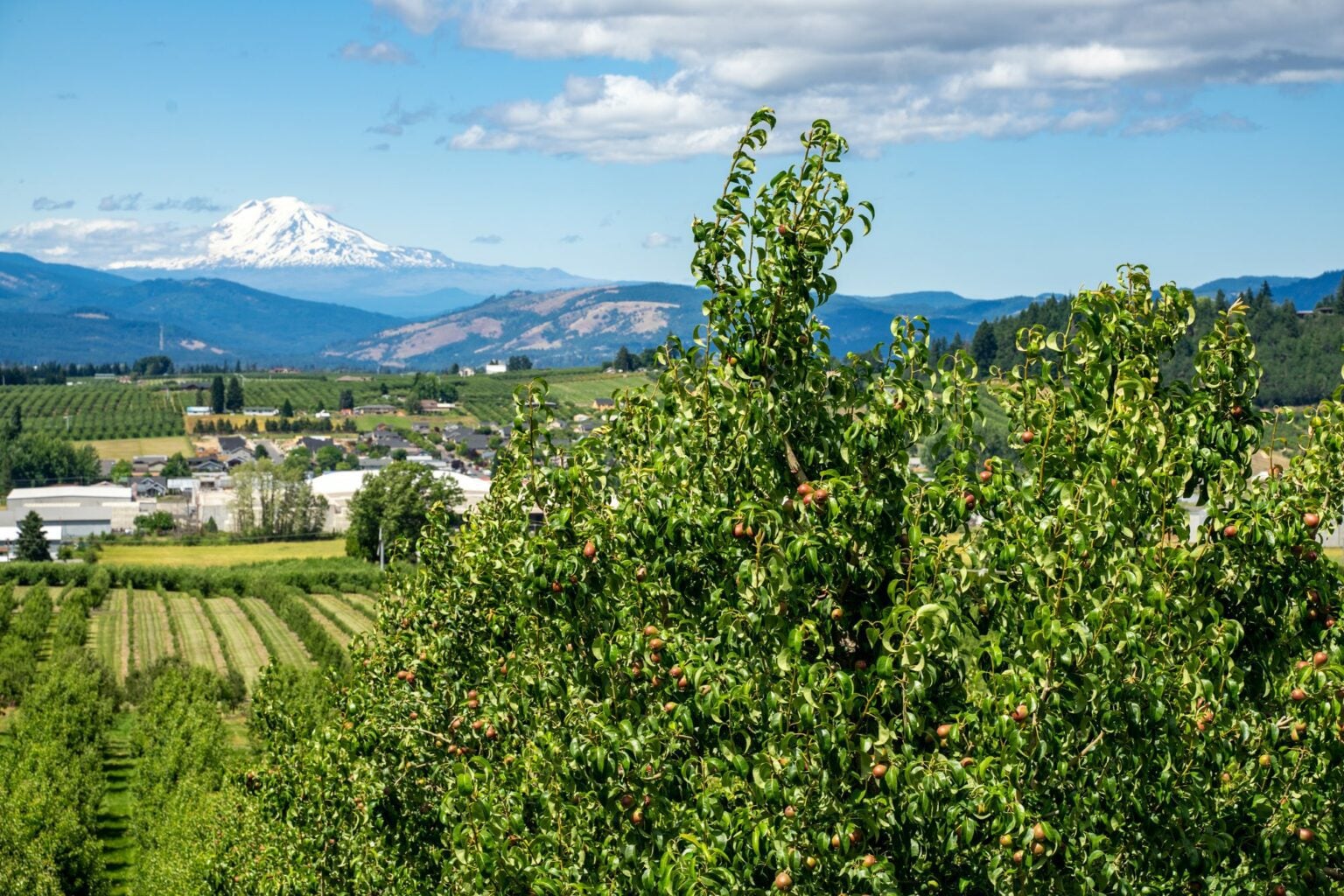 An Incredible Oregon Road Trip Itinerary (for First Timers)