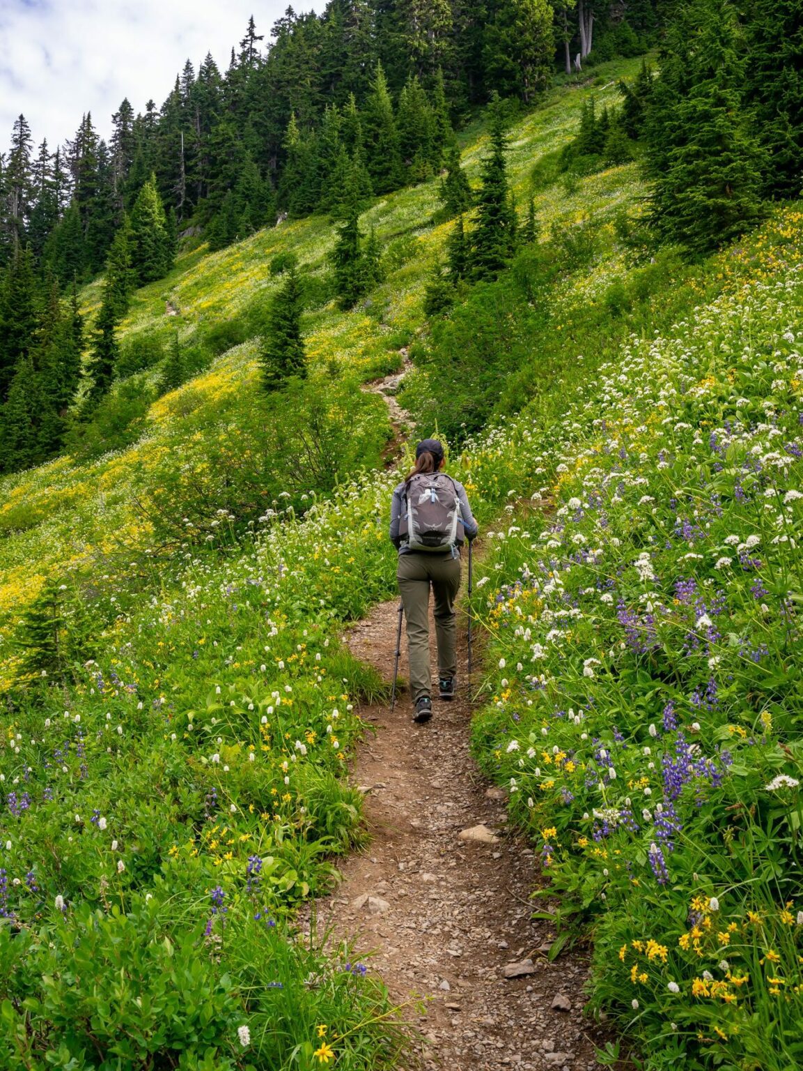 A Complete Guide To Hiking The Yellow Aster Butte Trail