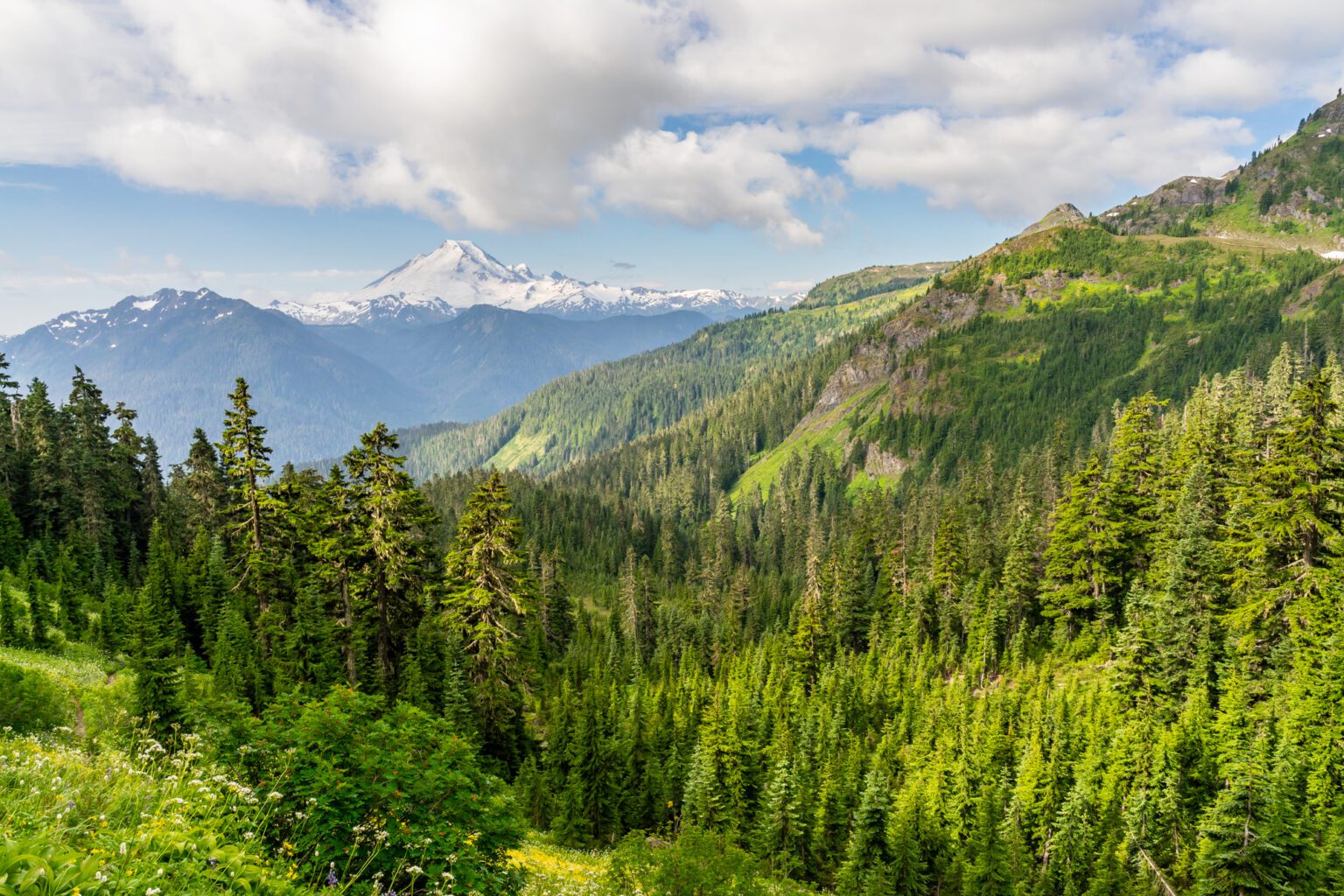 A Complete Guide To Hiking The Yellow Aster Butte Trail