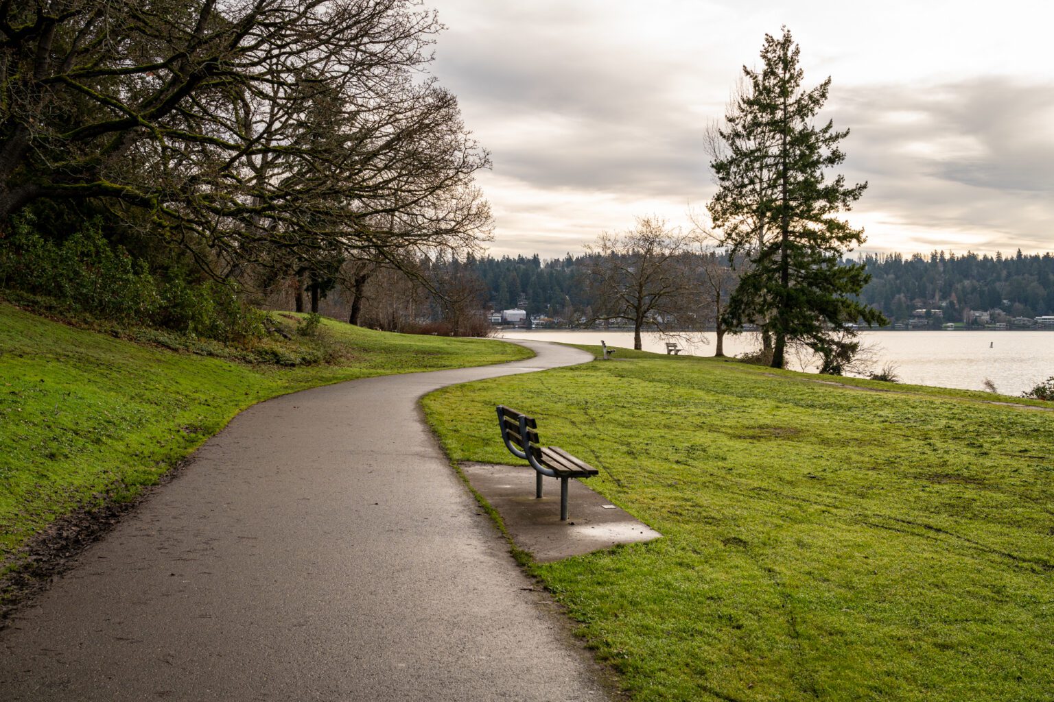 The Best Hikes Near Seattle: A Complete Guide