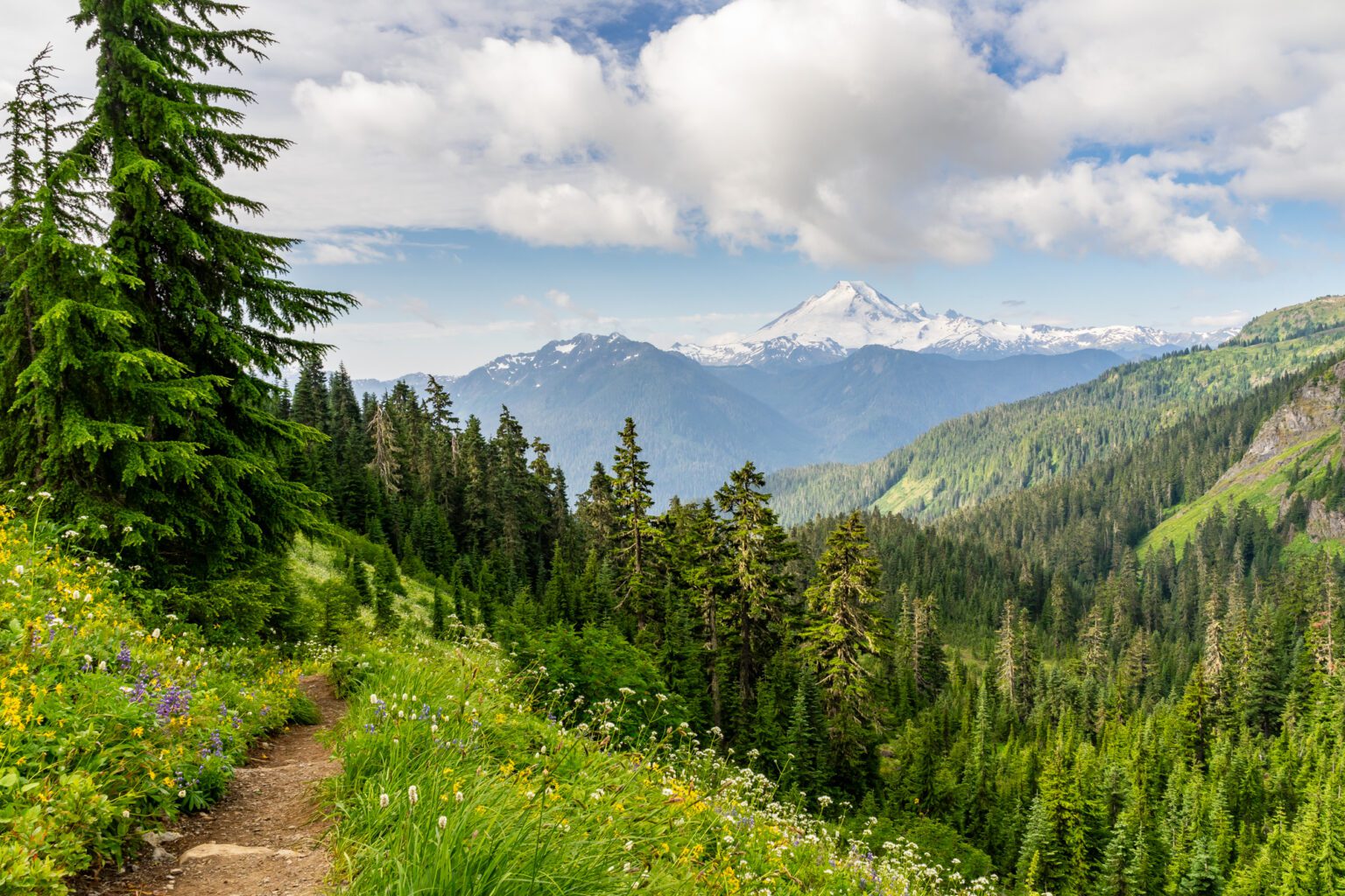 A Complete Guide To Hiking The Yellow Aster Butte Trail