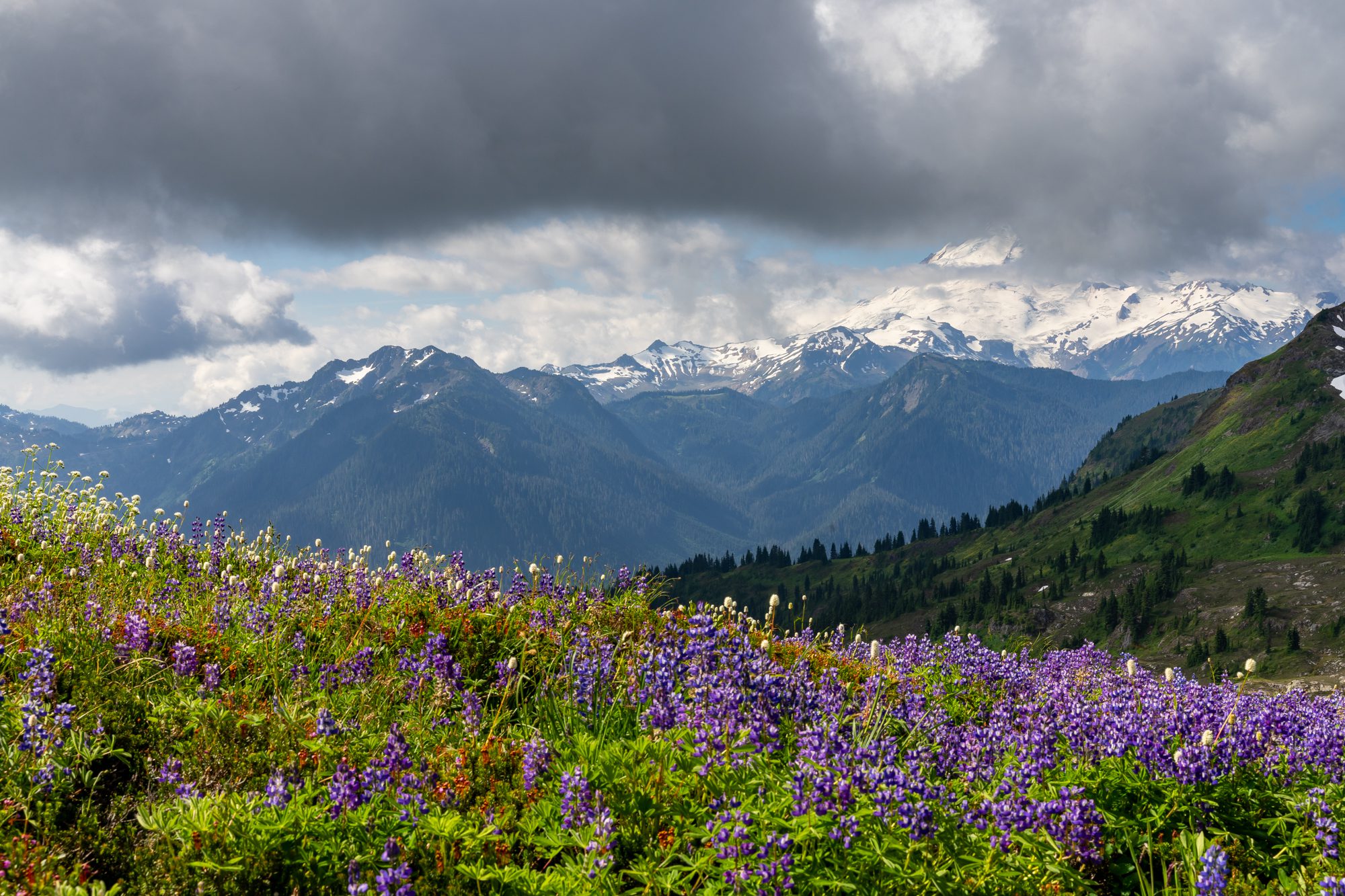 A Complete Guide To Hiking The Yellow Aster Butte Trail