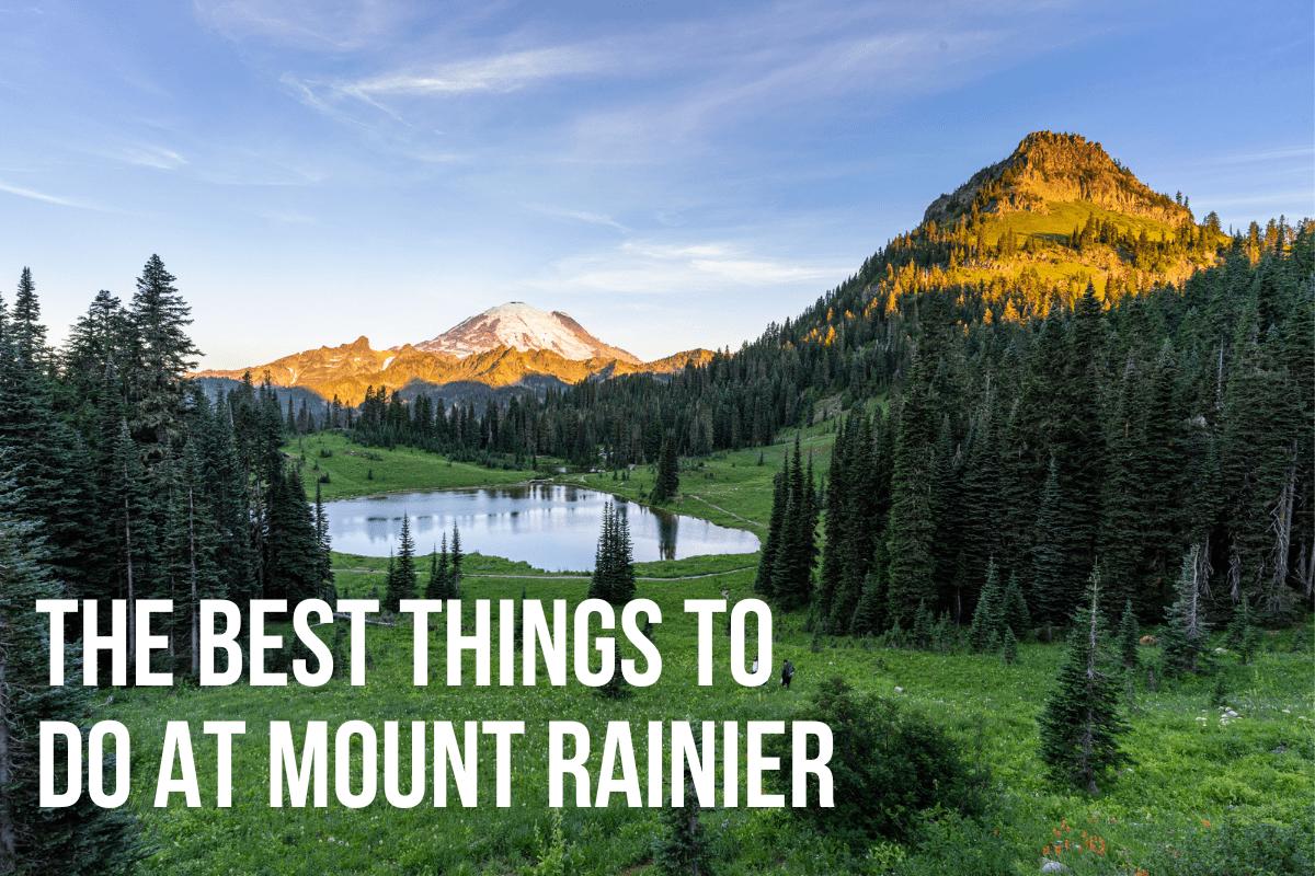 Visiting Mount Rainier National Park: What You Need To Know