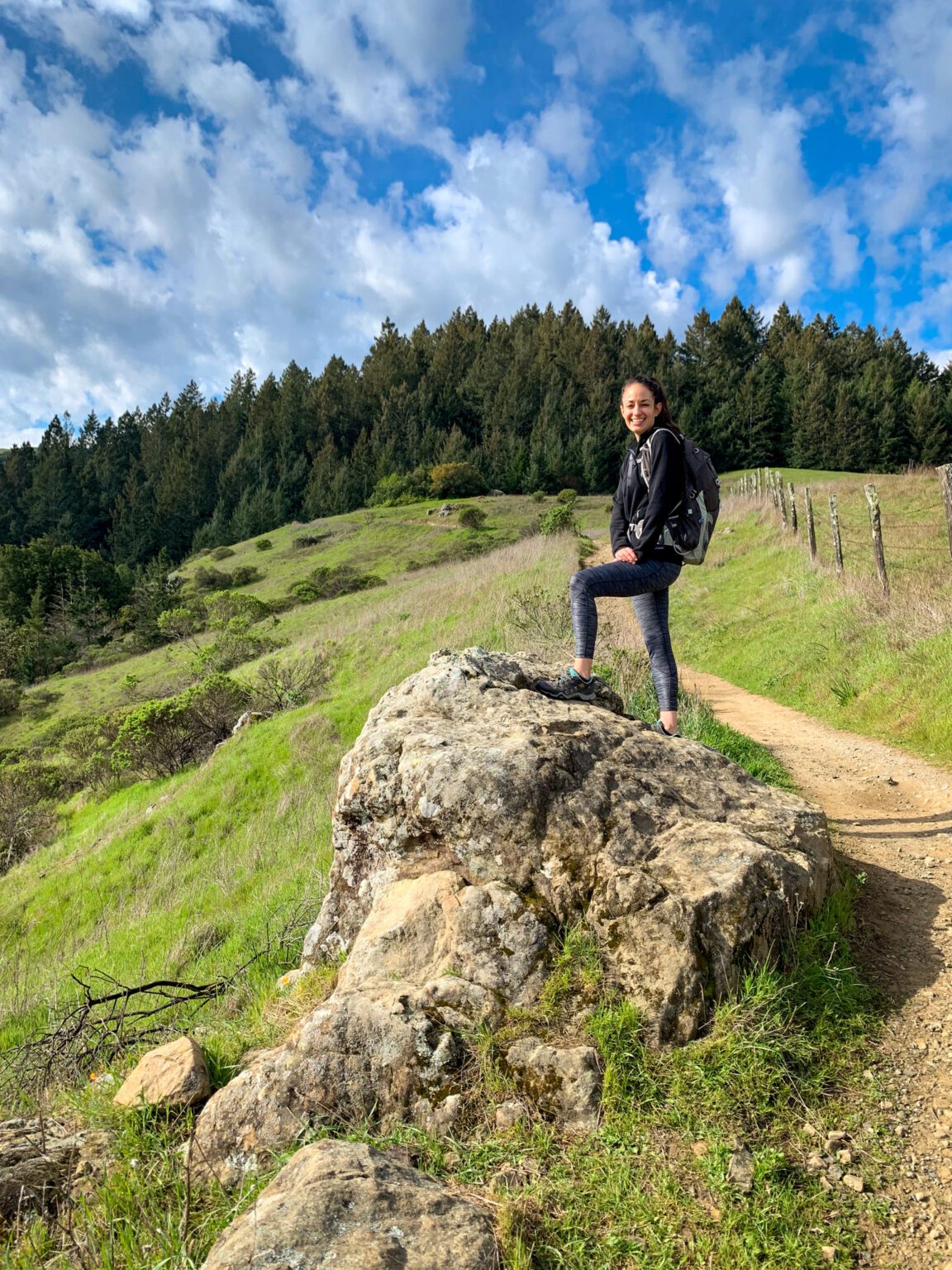 Hiking In The San Francisco Bay Area: A Complete Guide