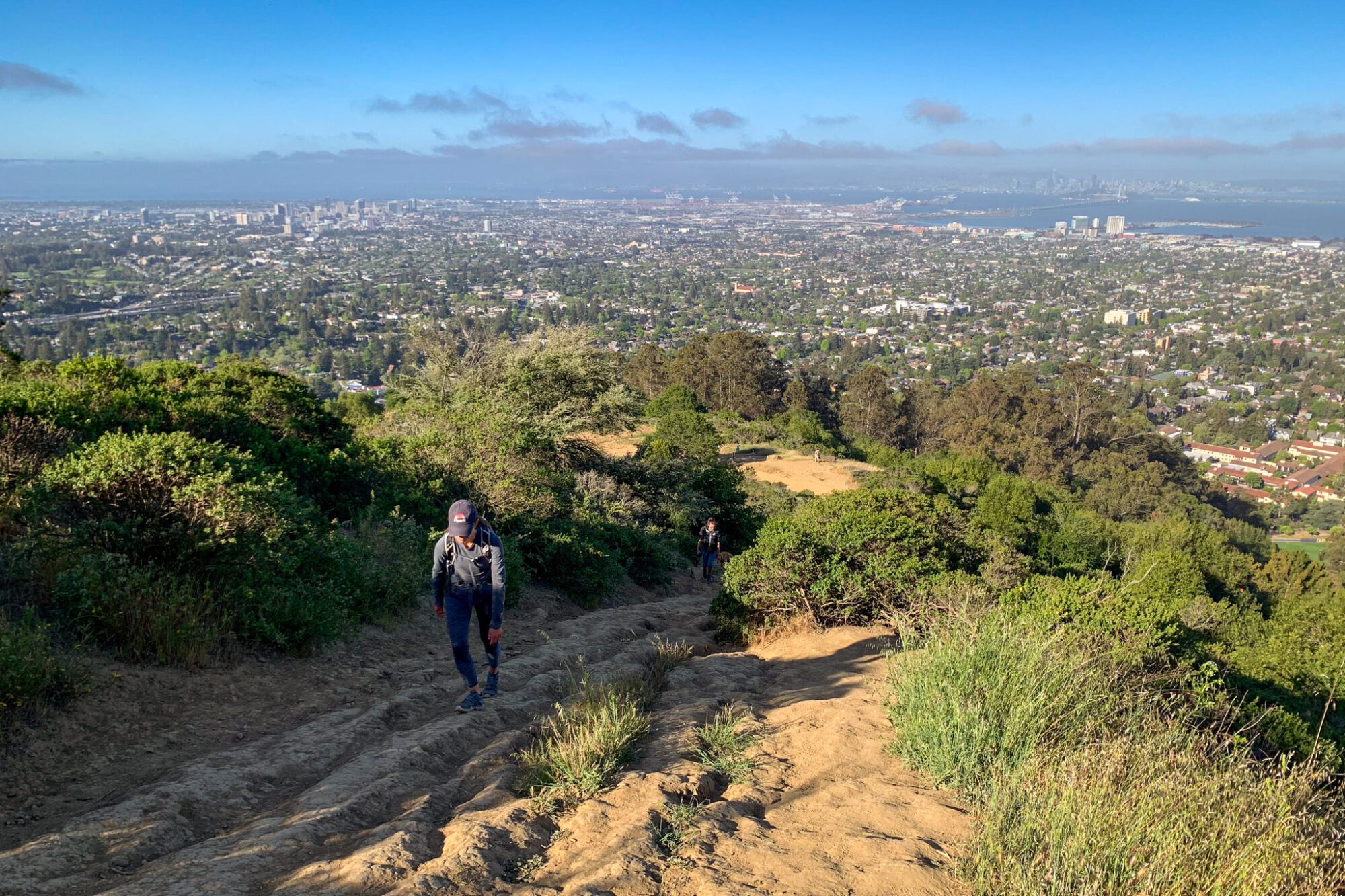 Hiking In The San Francisco Bay Area: A Complete Guide