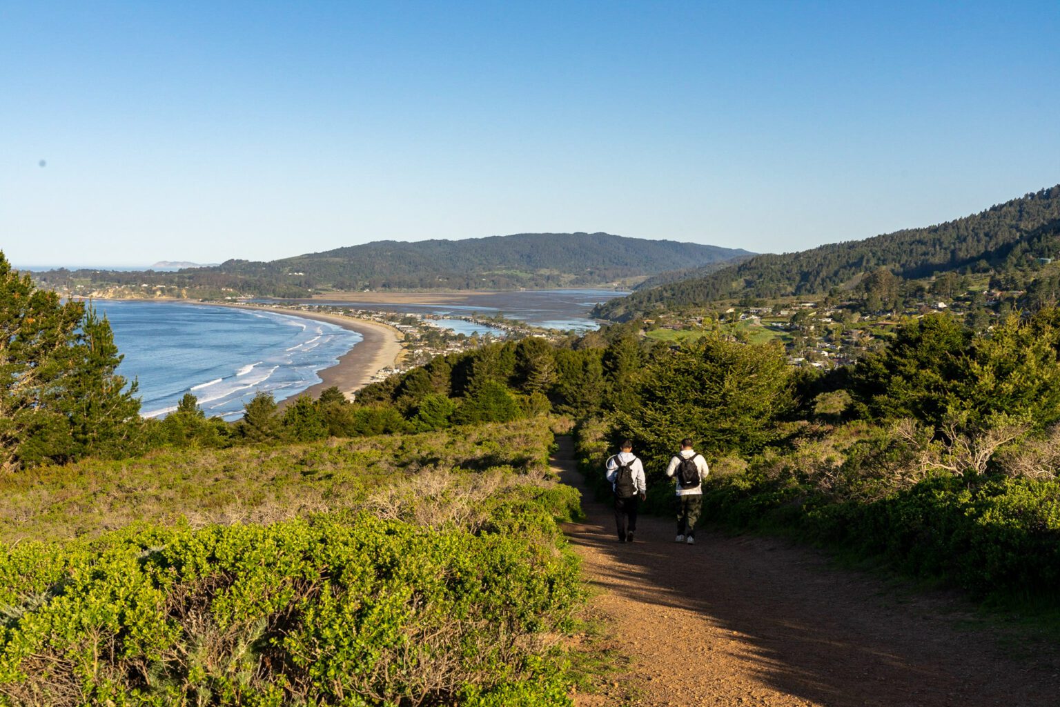 Hiking In The San Francisco Bay Area: A Complete Guide