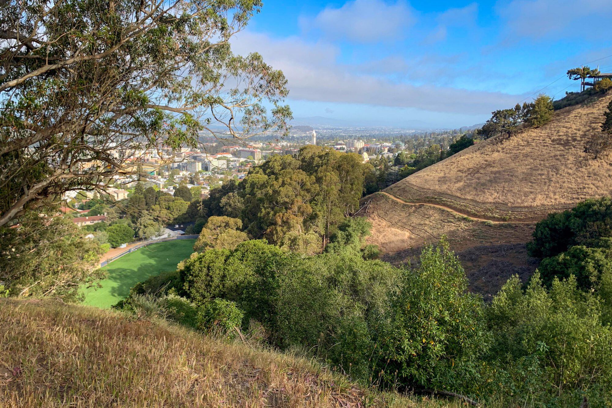 Hiking In The San Francisco Bay Area: A Complete Guide