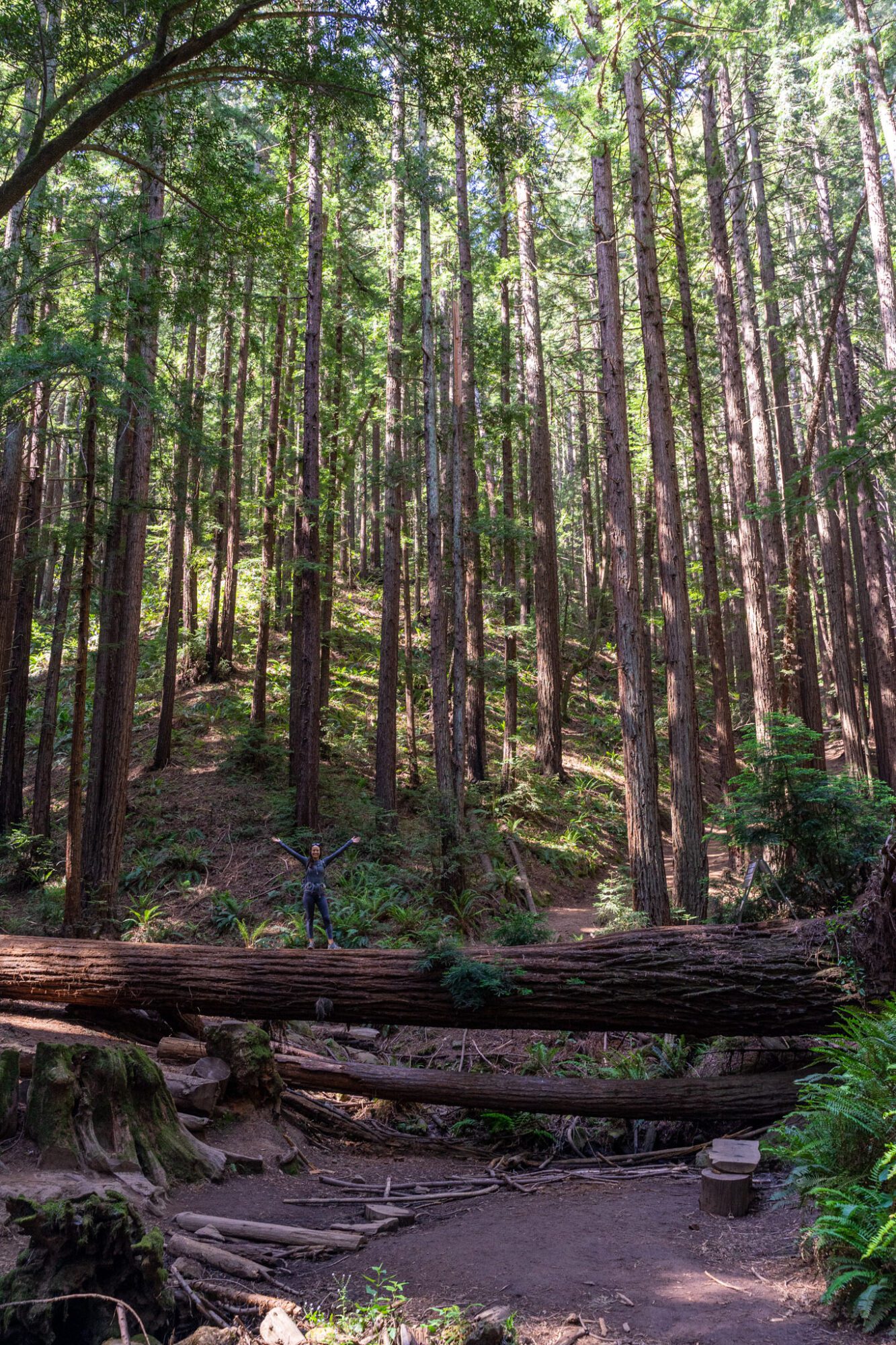 Hiking In The San Francisco Bay Area: A Complete Guide
