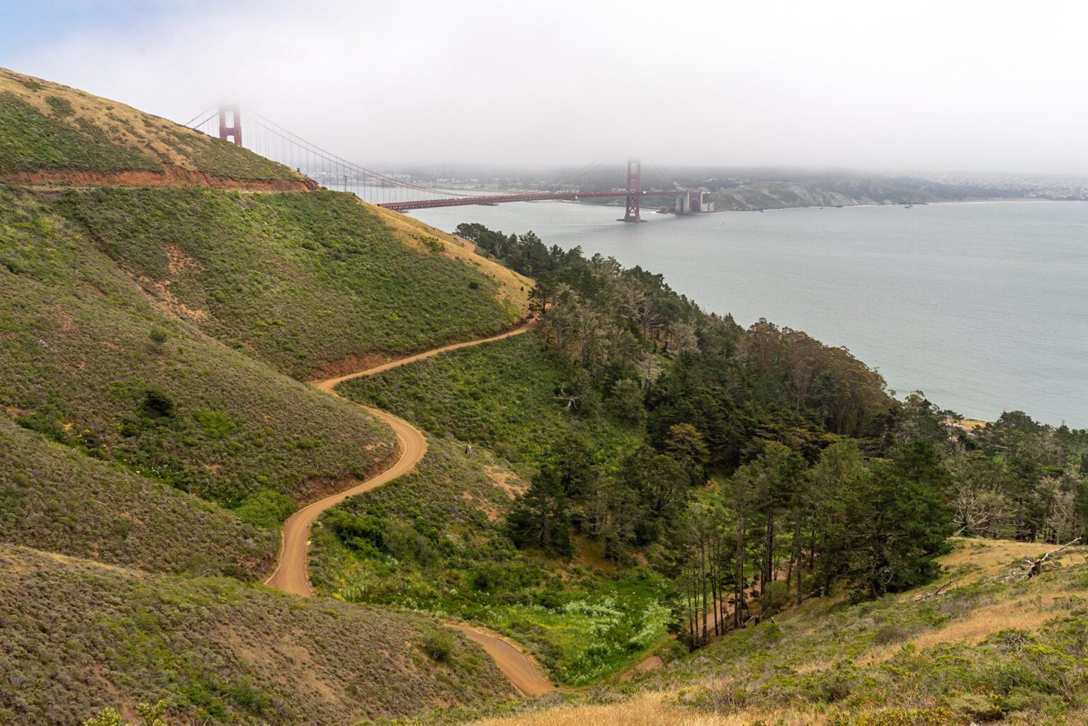 Hiking In The San Francisco Bay Area: A Complete Guide