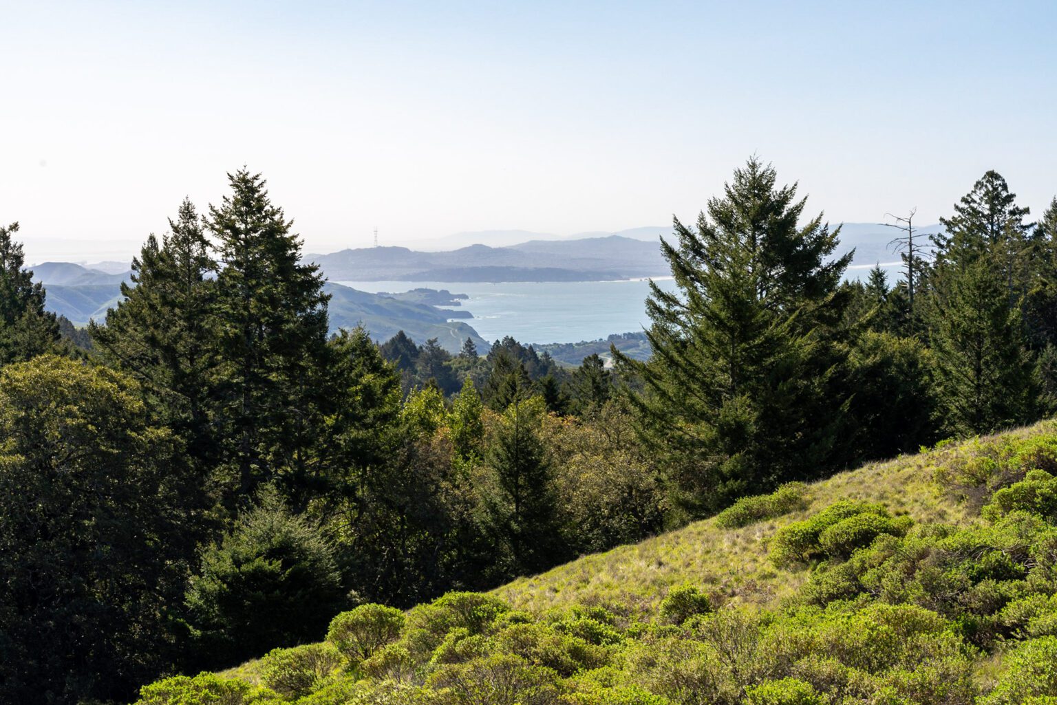 Hiking In The San Francisco Bay Area: A Complete Guide