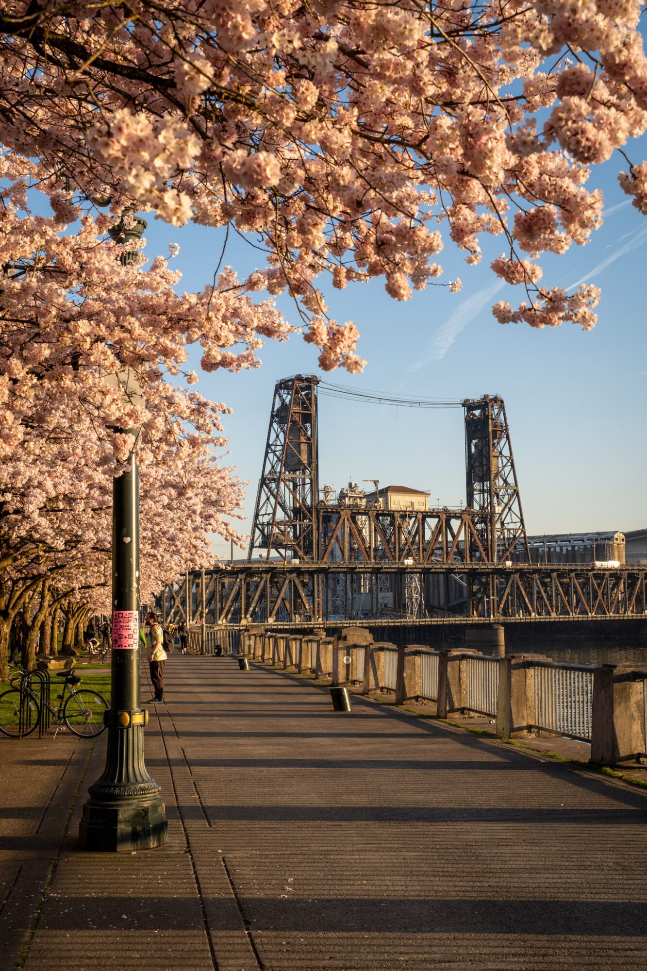 Where To Stay In Portland: Complete Guide For First Timers