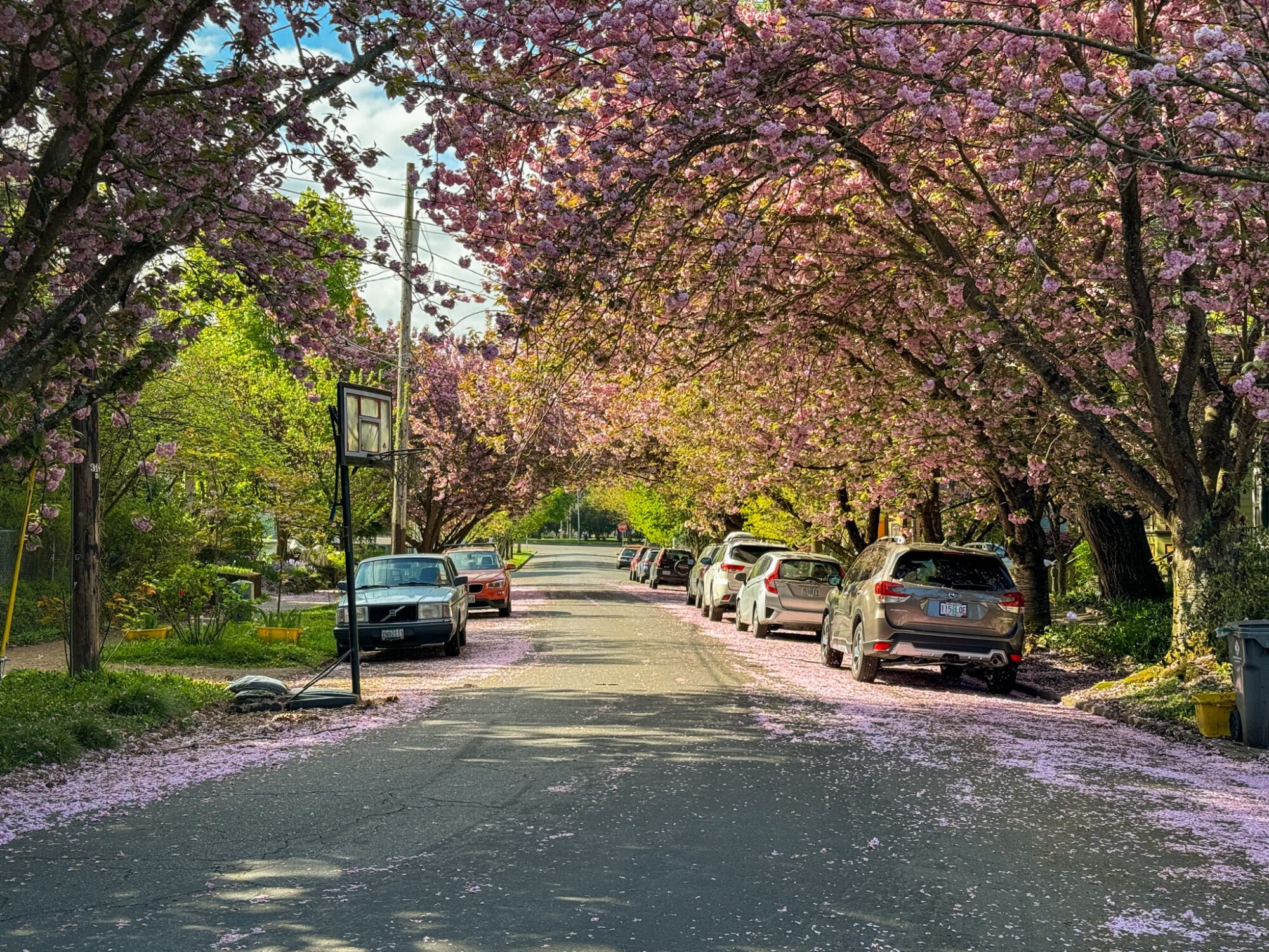 Where To Stay In Portland: Complete Guide For First Timers