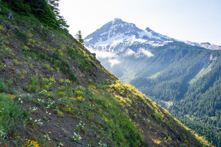 How To Hike The Amazing McNeil Point Trail At Mt. Hood