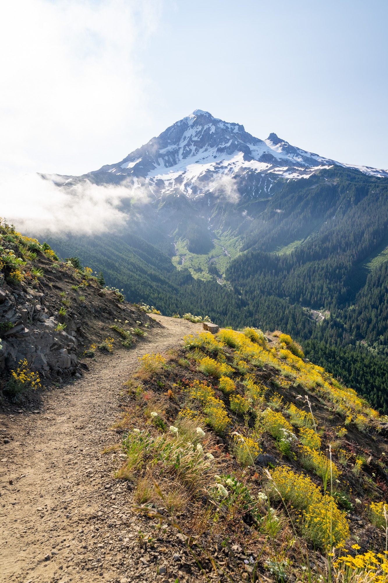 How To Hike The Amazing McNeil Point Trail At Mt. Hood