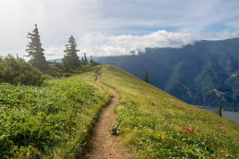 Hiking Around Portland: A Complete Guide For First Timers