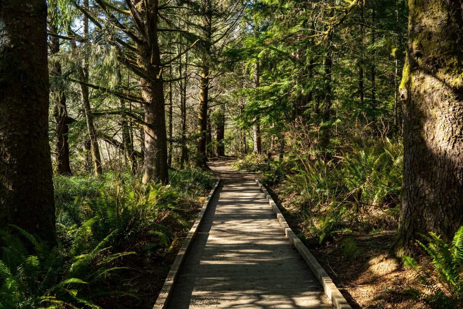 What To Do In Astoria, Oregon: A Complete Guide