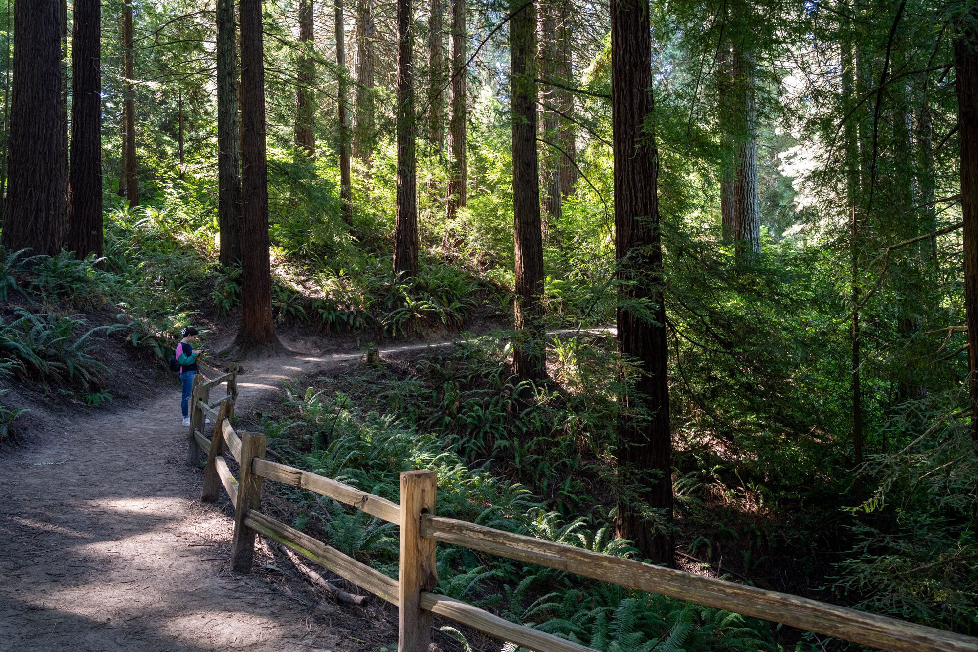 Hiking In Portland: A Complete Guide For First Timers
