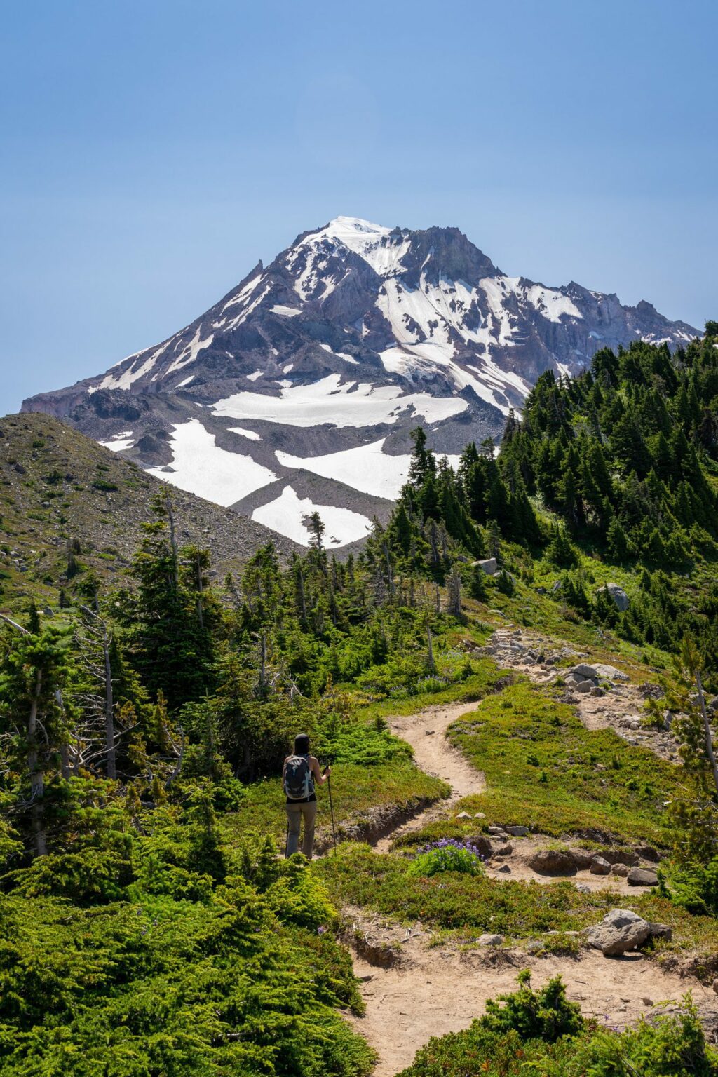 How To Hike The Amazing McNeil Point Trail At Mt. Hood