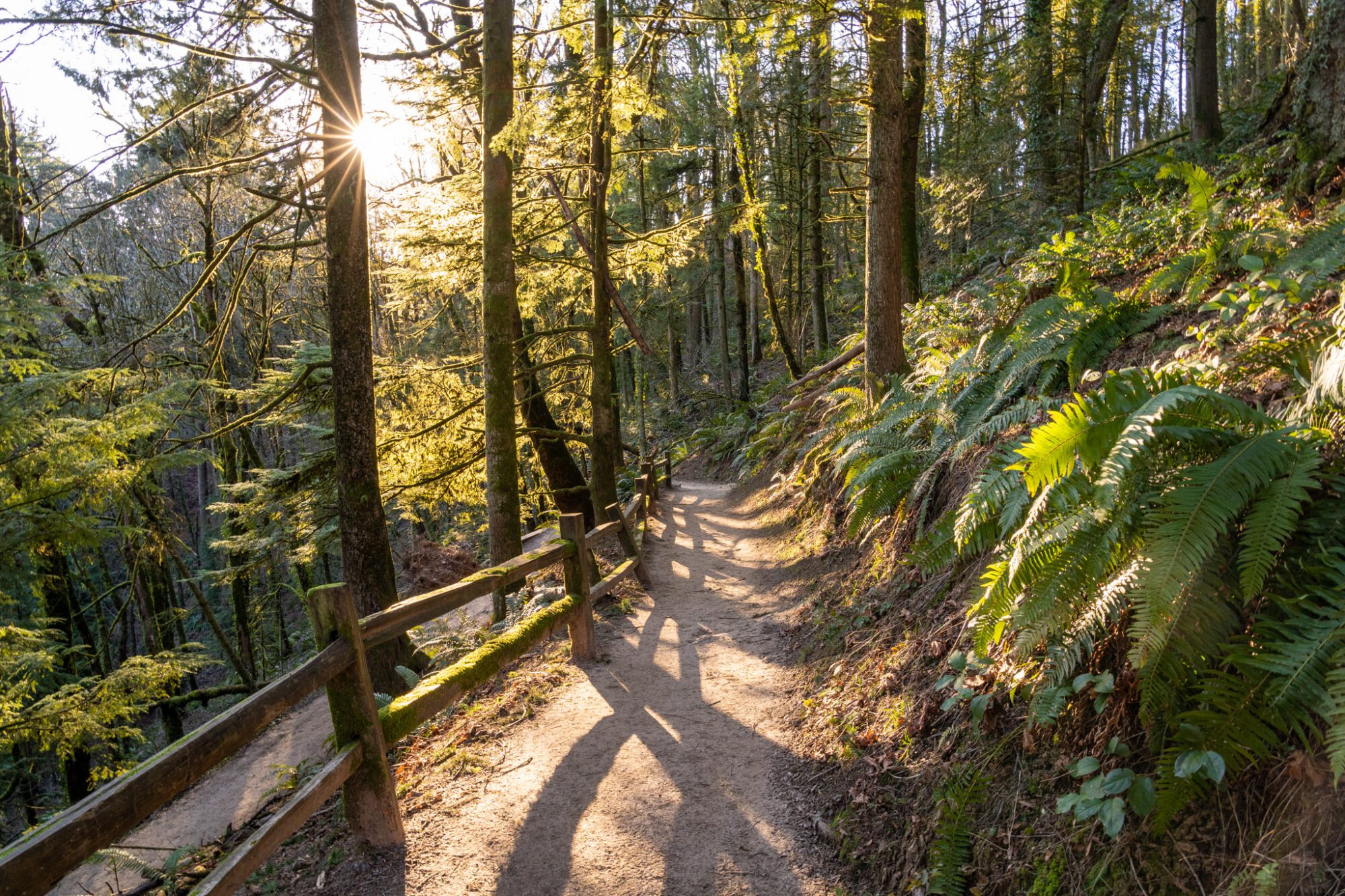 Hiking To Pittock Mansion: A Complete Trail Guide
