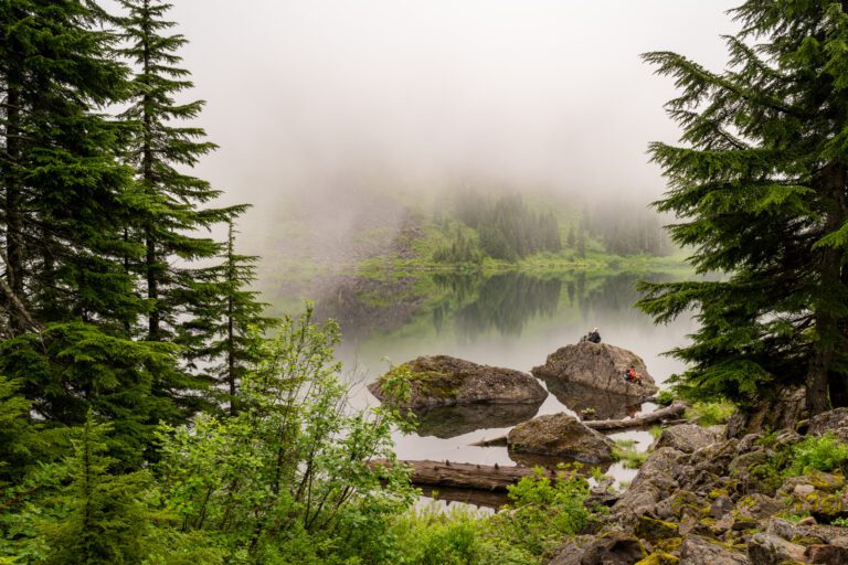 The Best Hikes Near Seattle: A Complete Guide