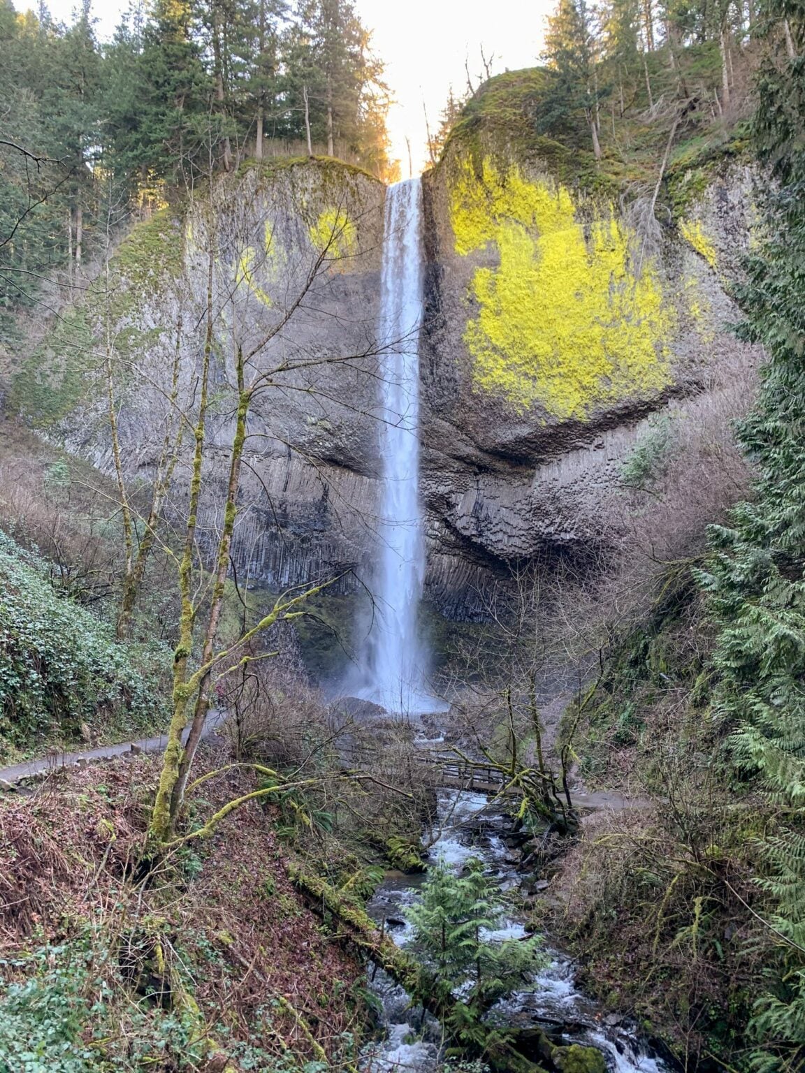 Hiking In The Columbia River Gorge: A Complete Guide