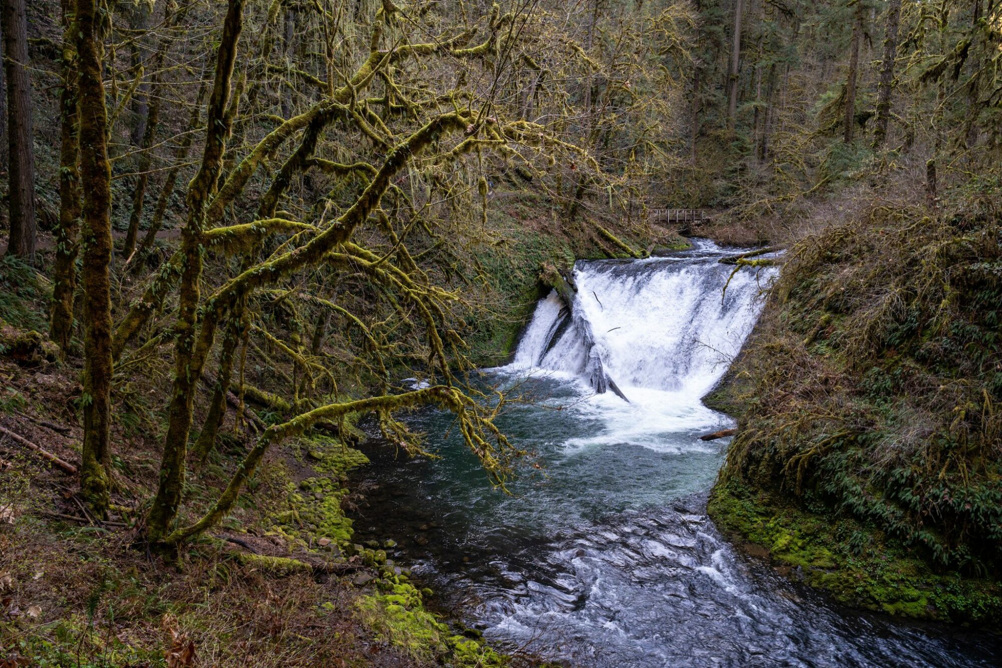 The Trail Of Ten Falls In Oregon: Complete Hiking Guide