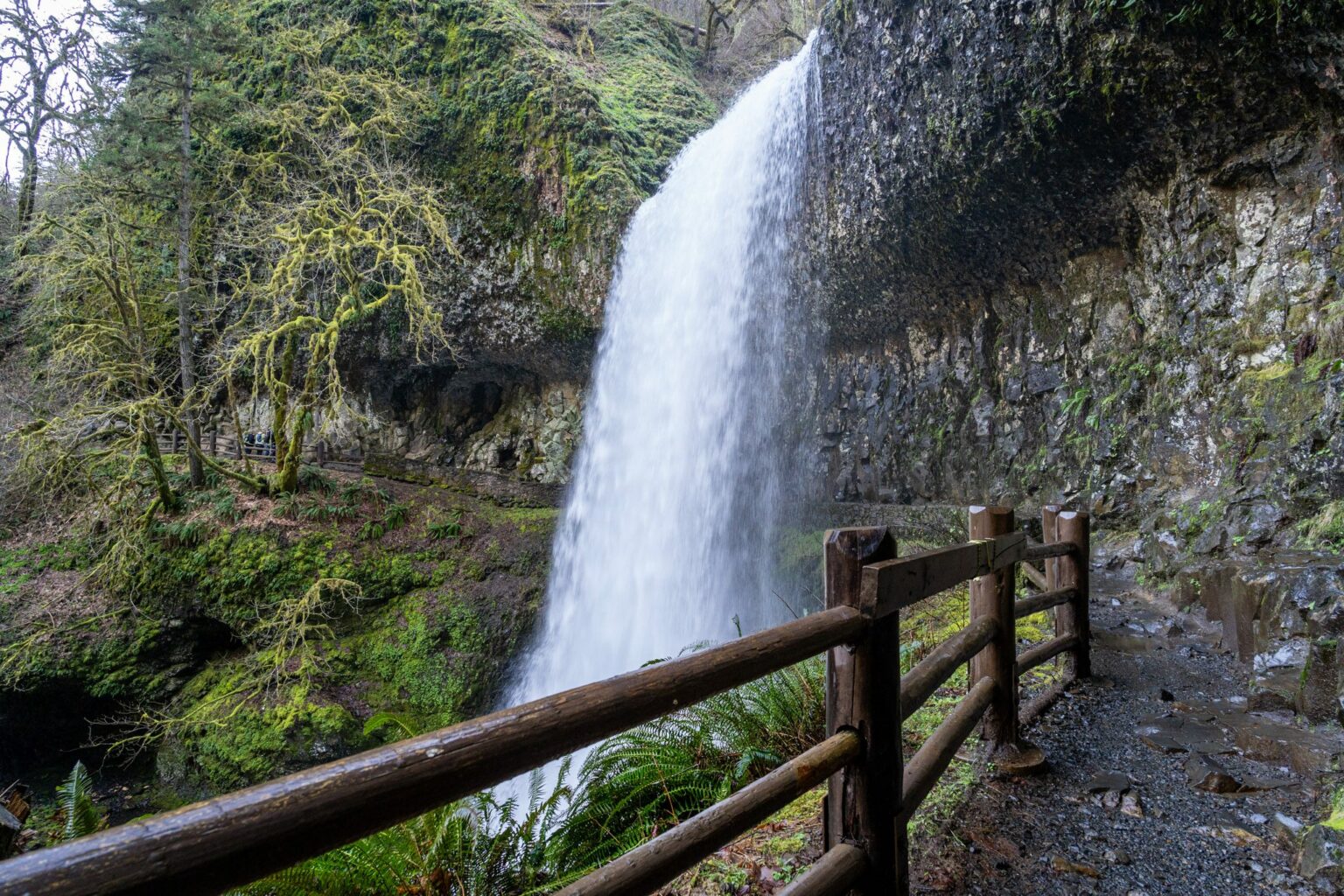 Hiking In Oregon: A Complete Guide For First Timers