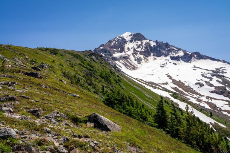 Hiking At Mount Hood: A Complete Guide For First Timers