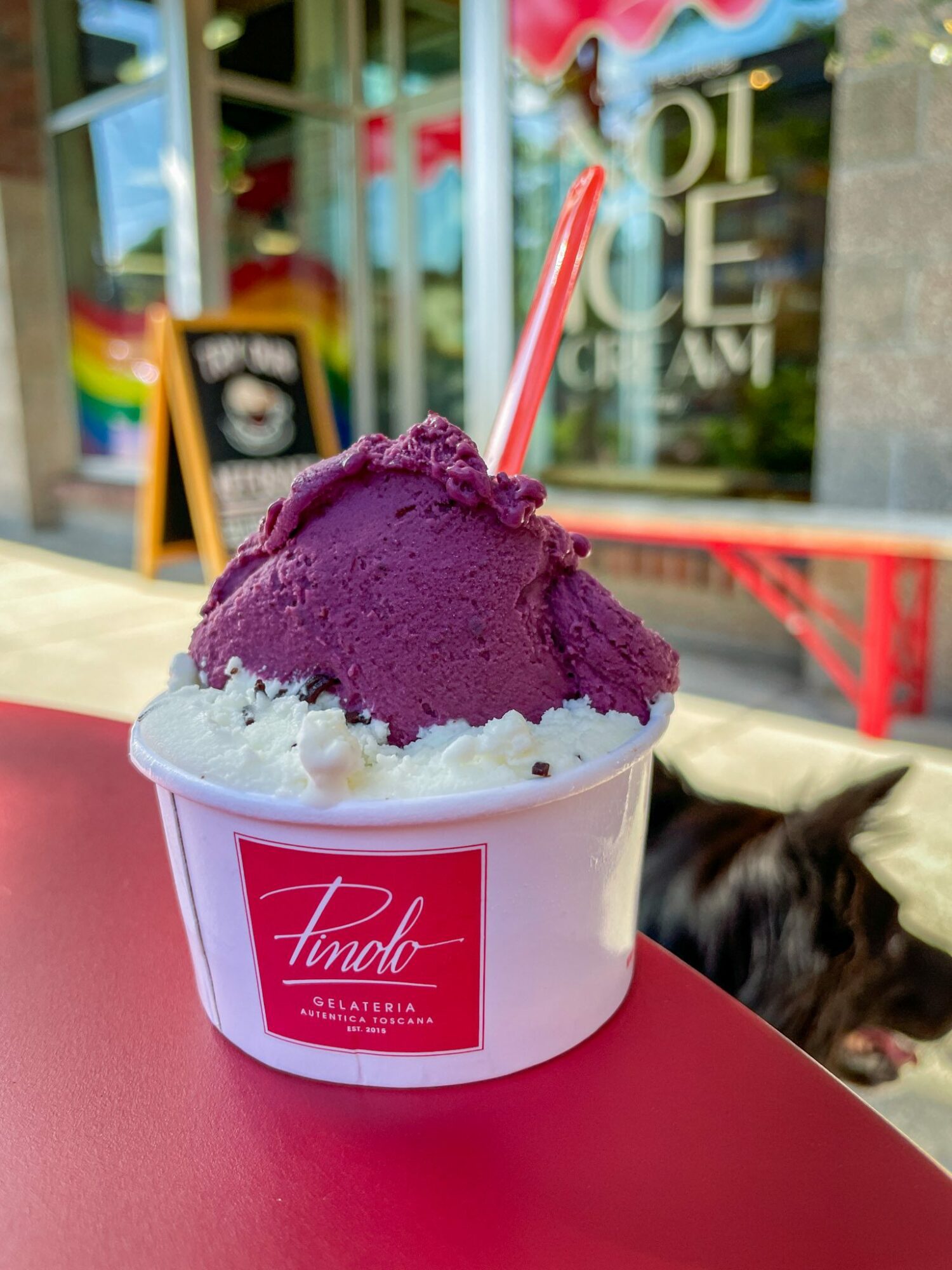 How To Spend One Day In Portland: A Local's Guide