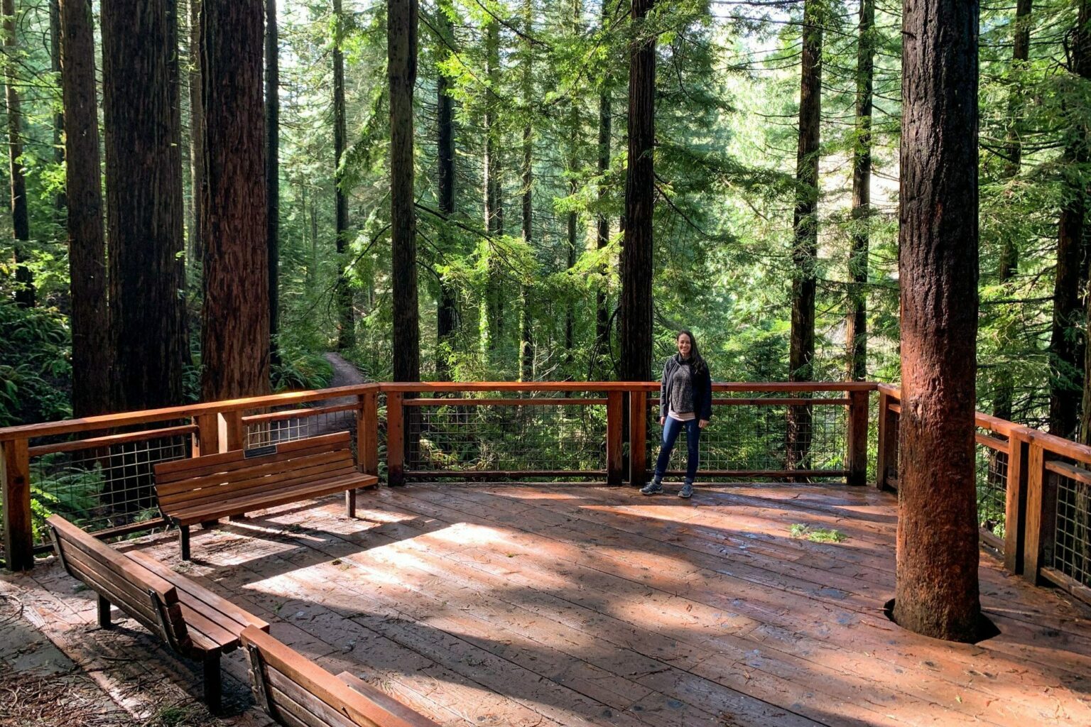 Hiking In Portland: A Complete Guide For First Timers