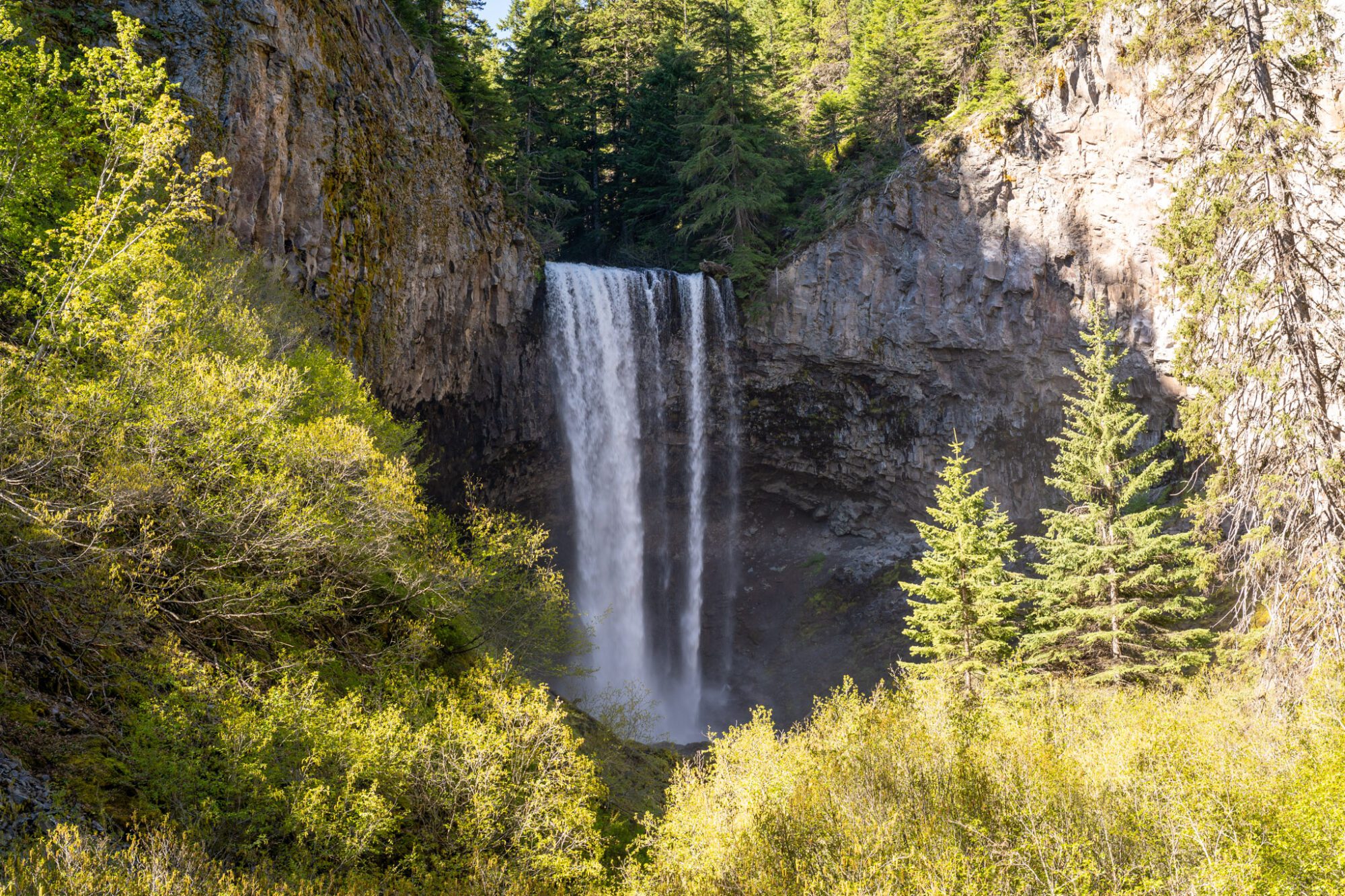 How To Hike The Amazing Tamanawas Falls Trail In Oregon