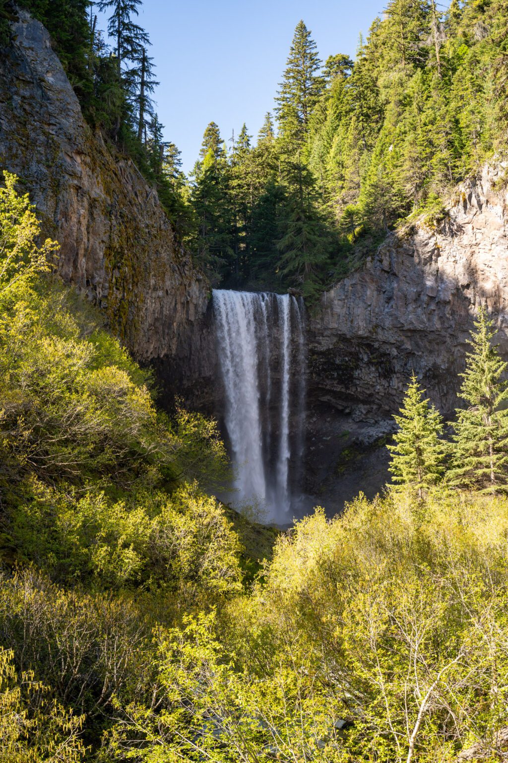 How To Hike The Amazing Tamanawas Falls Trail In Oregon