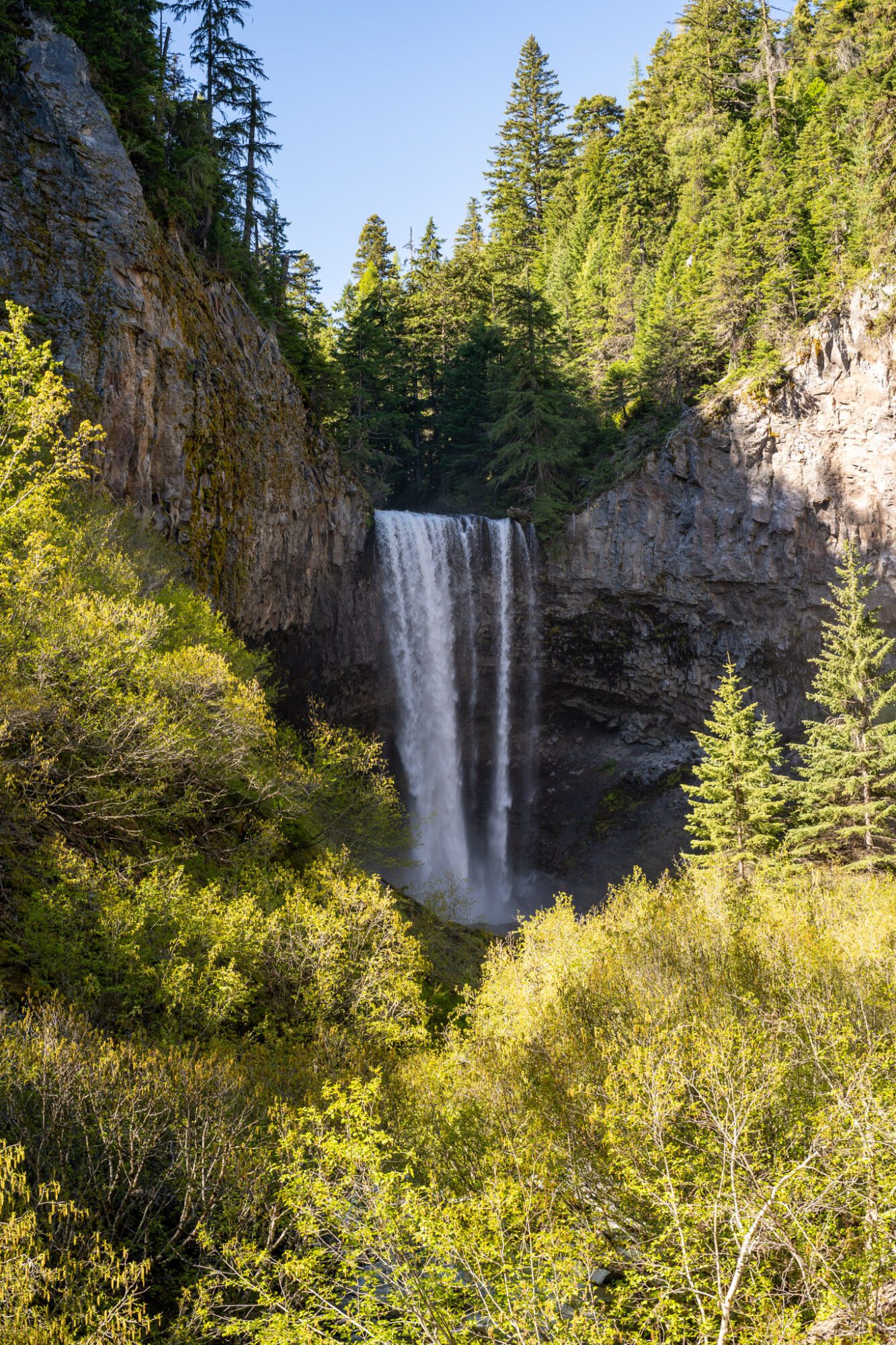 How To Hike The Amazing Tamanawas Falls Trail In Oregon