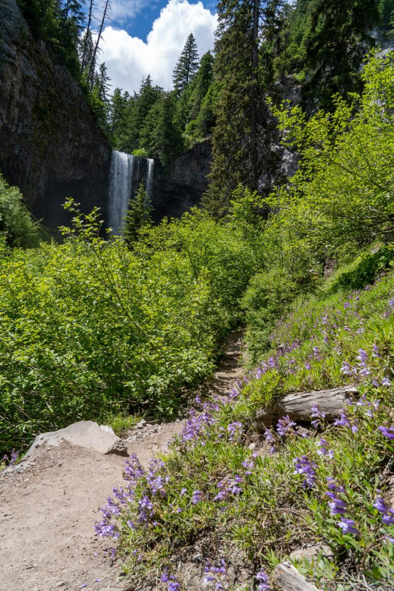 How To Hike The Amazing Tamanawas Falls Trail In Oregon
