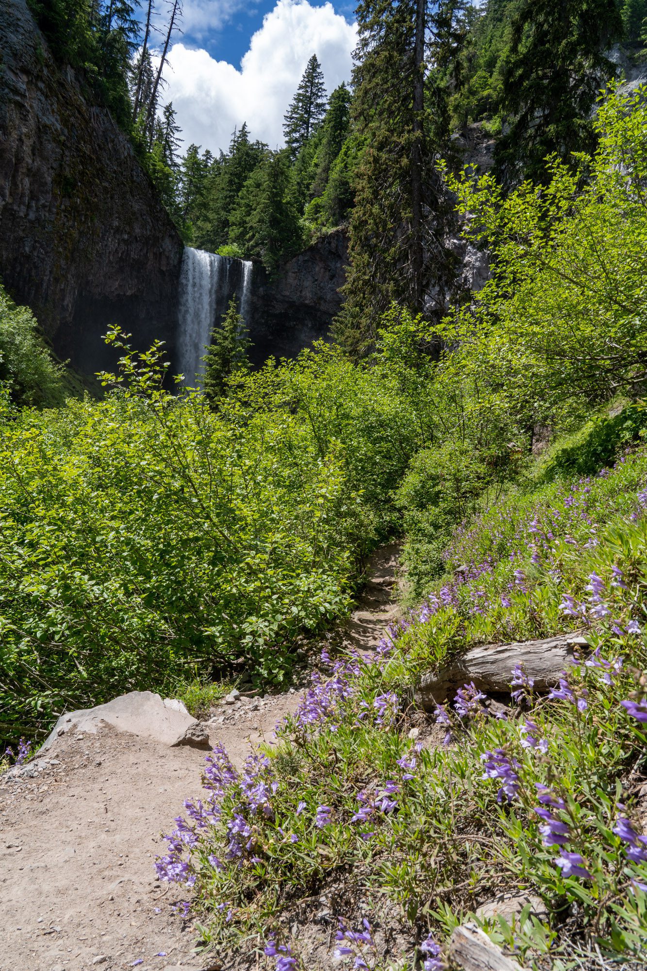 How To Hike The Amazing Tamanawas Falls Trail In Oregon