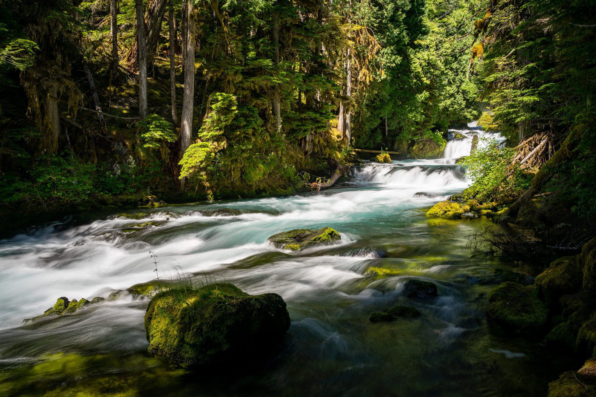 An Incredible Oregon Road Trip Itineary (for First Timers)