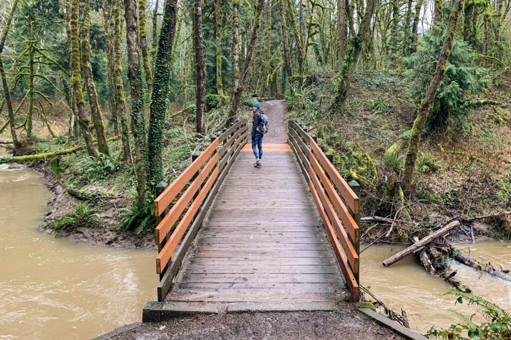 Hiking In Portland: A Complete Guide For First Timers