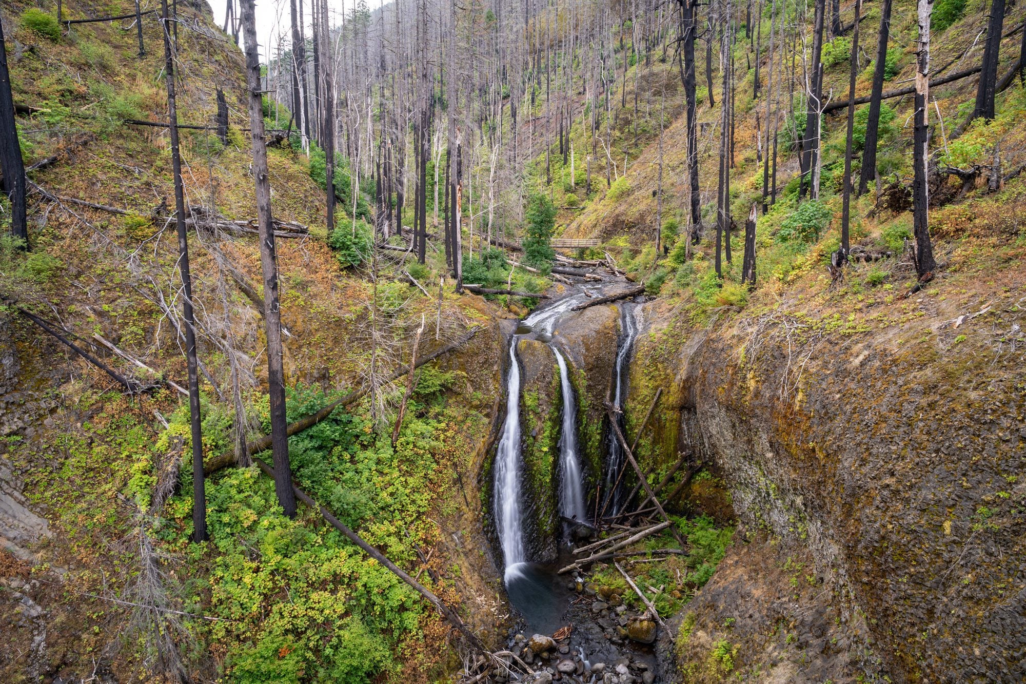 Hiking In The Columbia River Gorge: A Complete Guide
