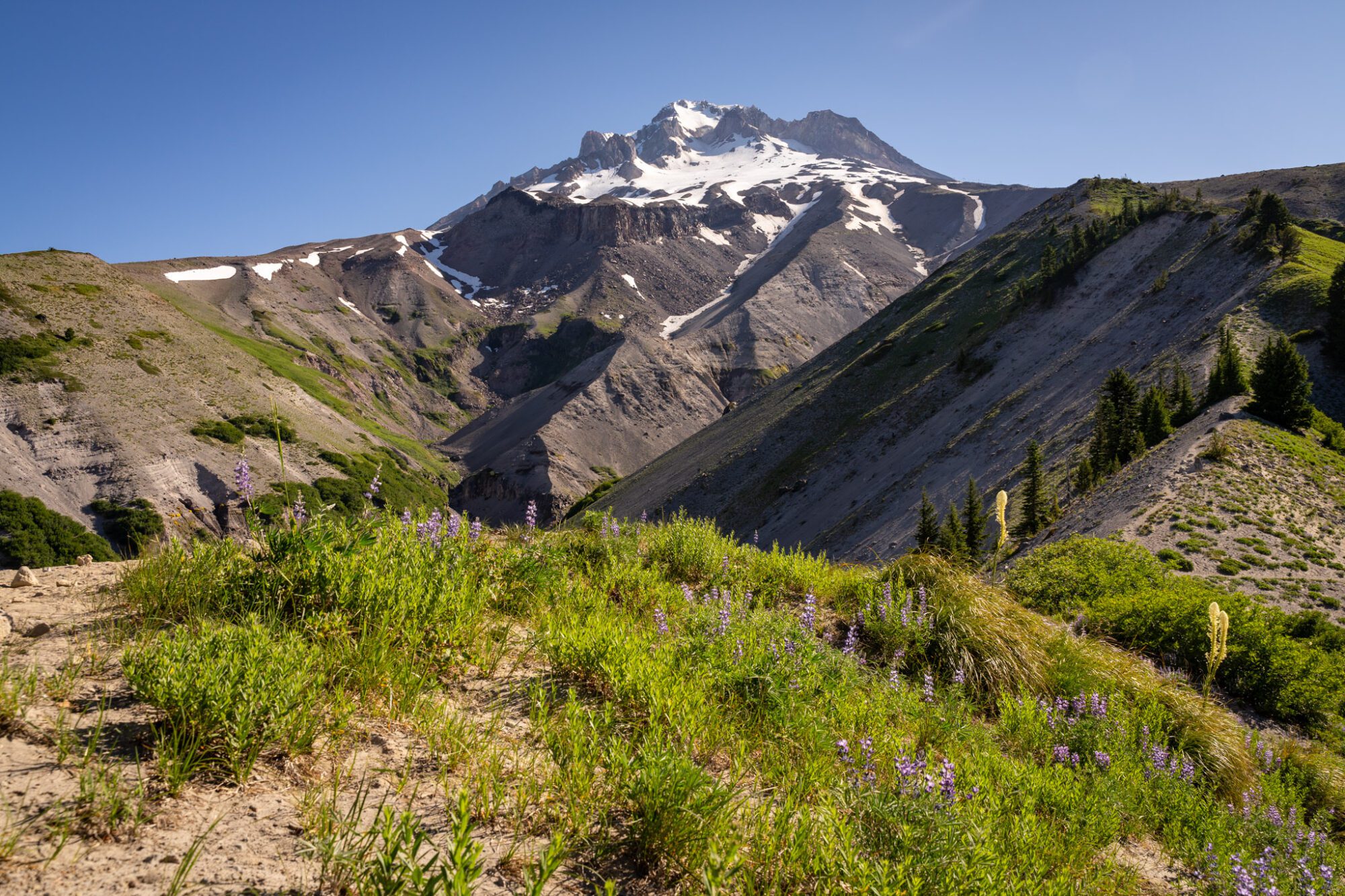 Hiking At Mount Hood: A Complete Guide For First Timers