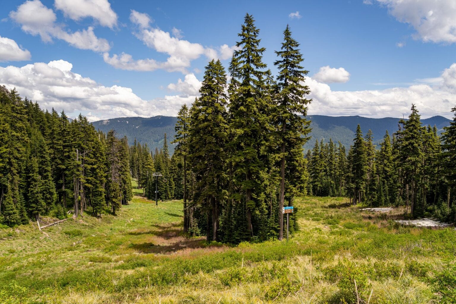 Hiking At Mount Hood: A Complete Guide For First Timers