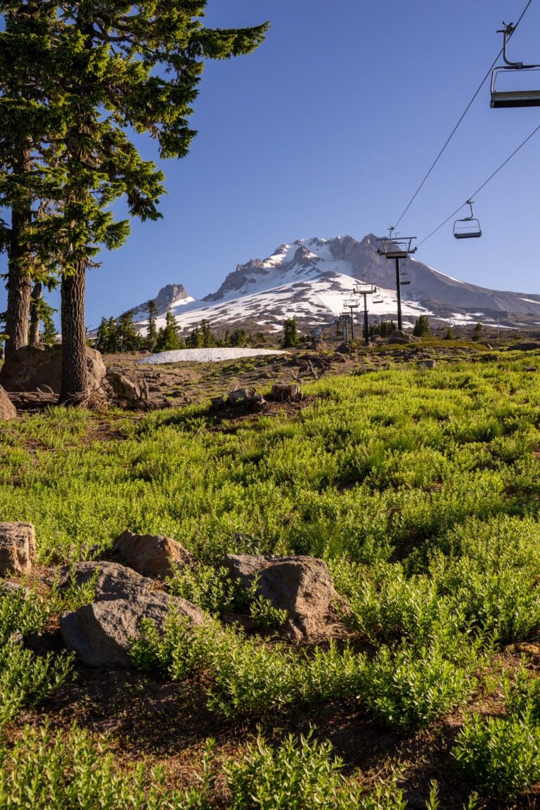 Hiking At Mount Hood: A Complete Guide For First Timers