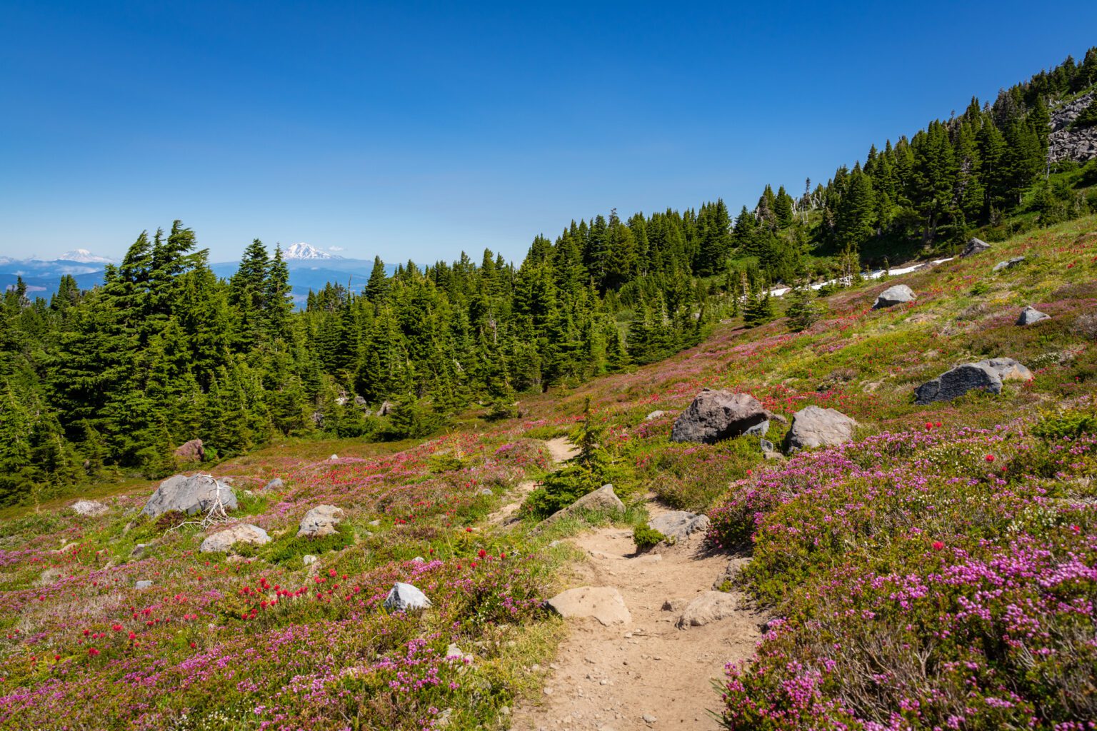 How To Hike The Amazing McNeil Point Trail At Mt. Hood