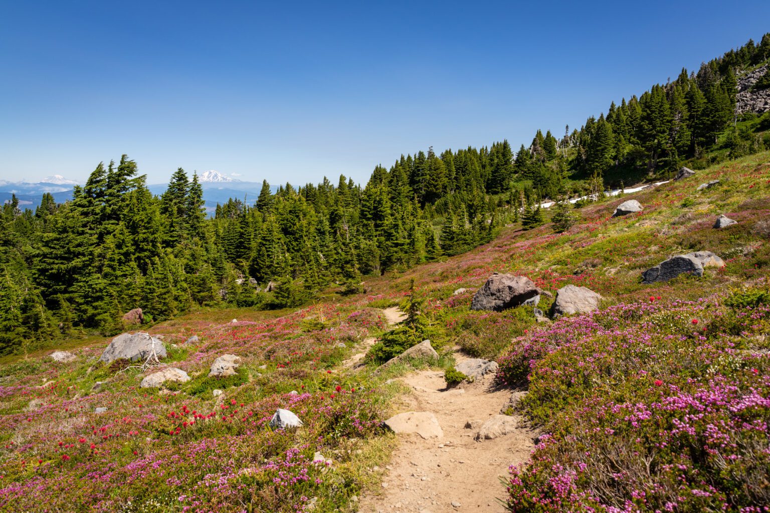 Hiking In Oregon: A Complete Guide For First Timers