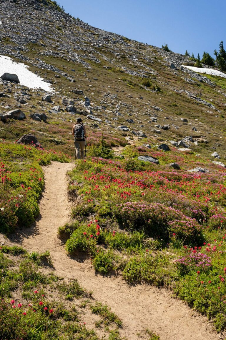 How To Hike The Amazing McNeil Point Trail At Mt. Hood