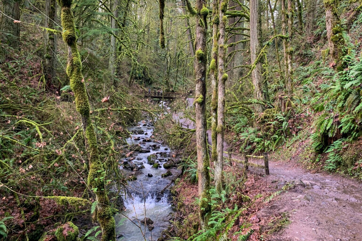 Hiking To Pittock Mansion: A Complete Trail Guide