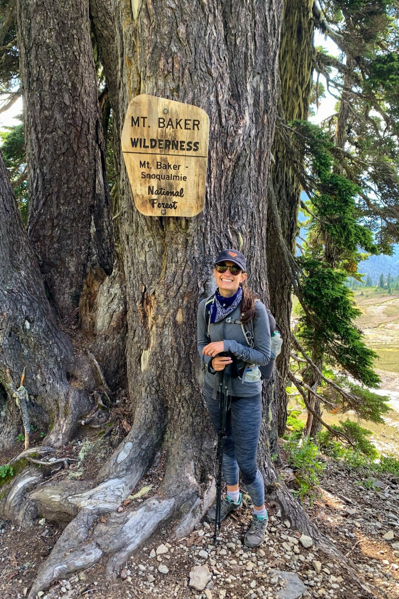 Hiking The Chain Lakes Loop At Mt. Baker: A Complete Guide
