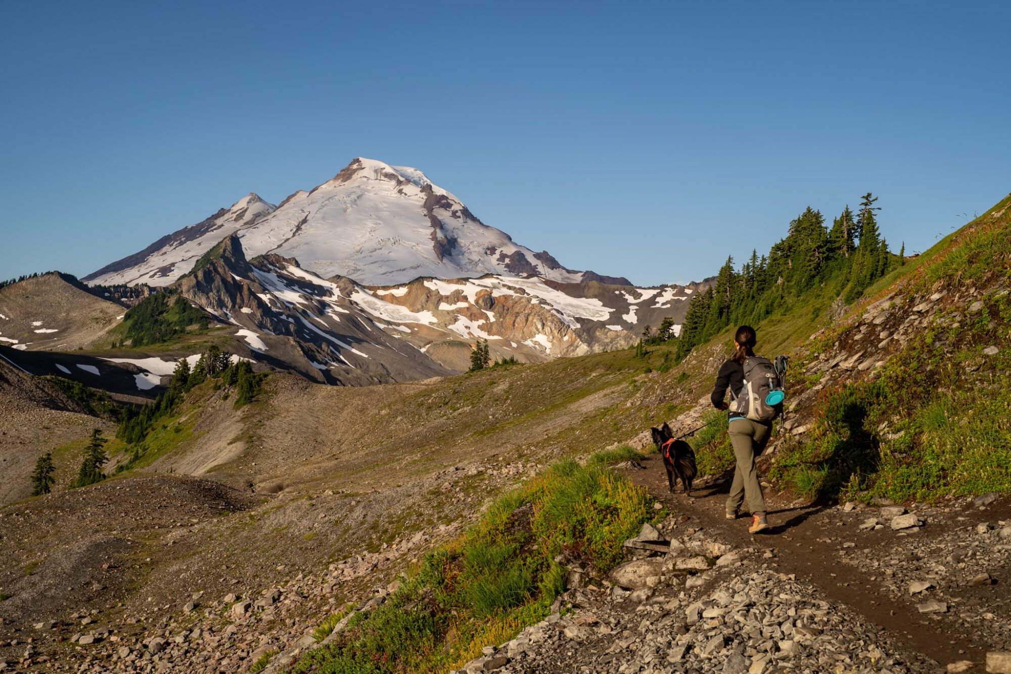 The Ptarmigan Ridge Trail At Mt. Baker: A Complete Guide